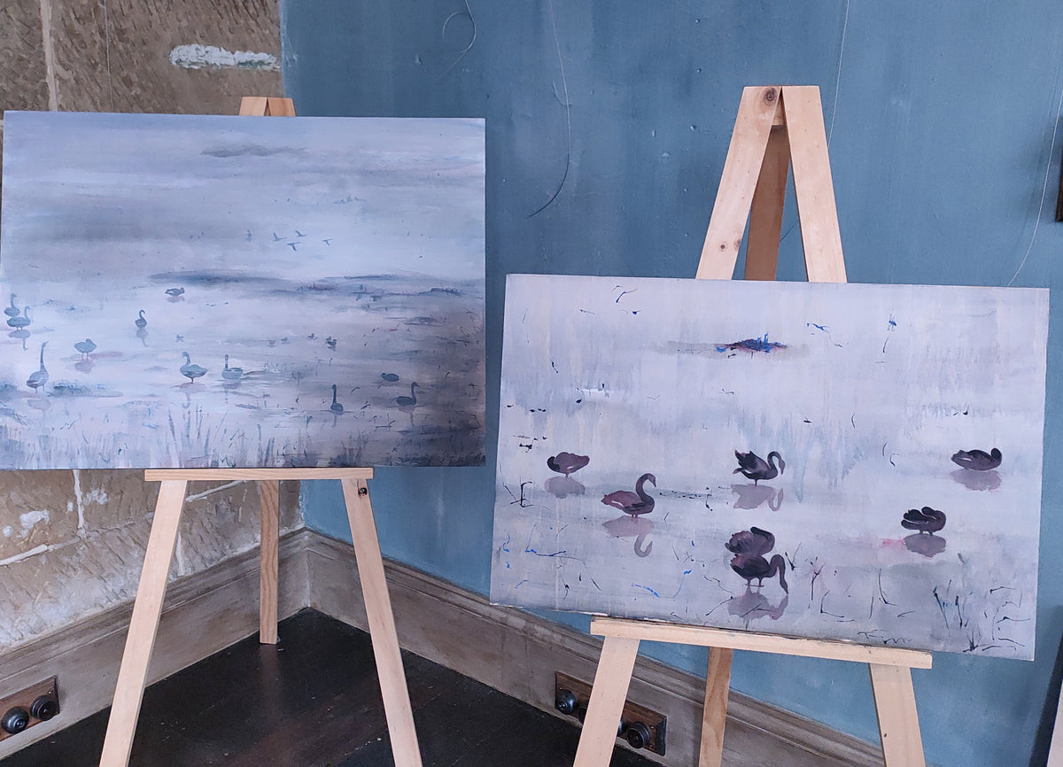 Swans everywhere! – Lee-Anne Peters